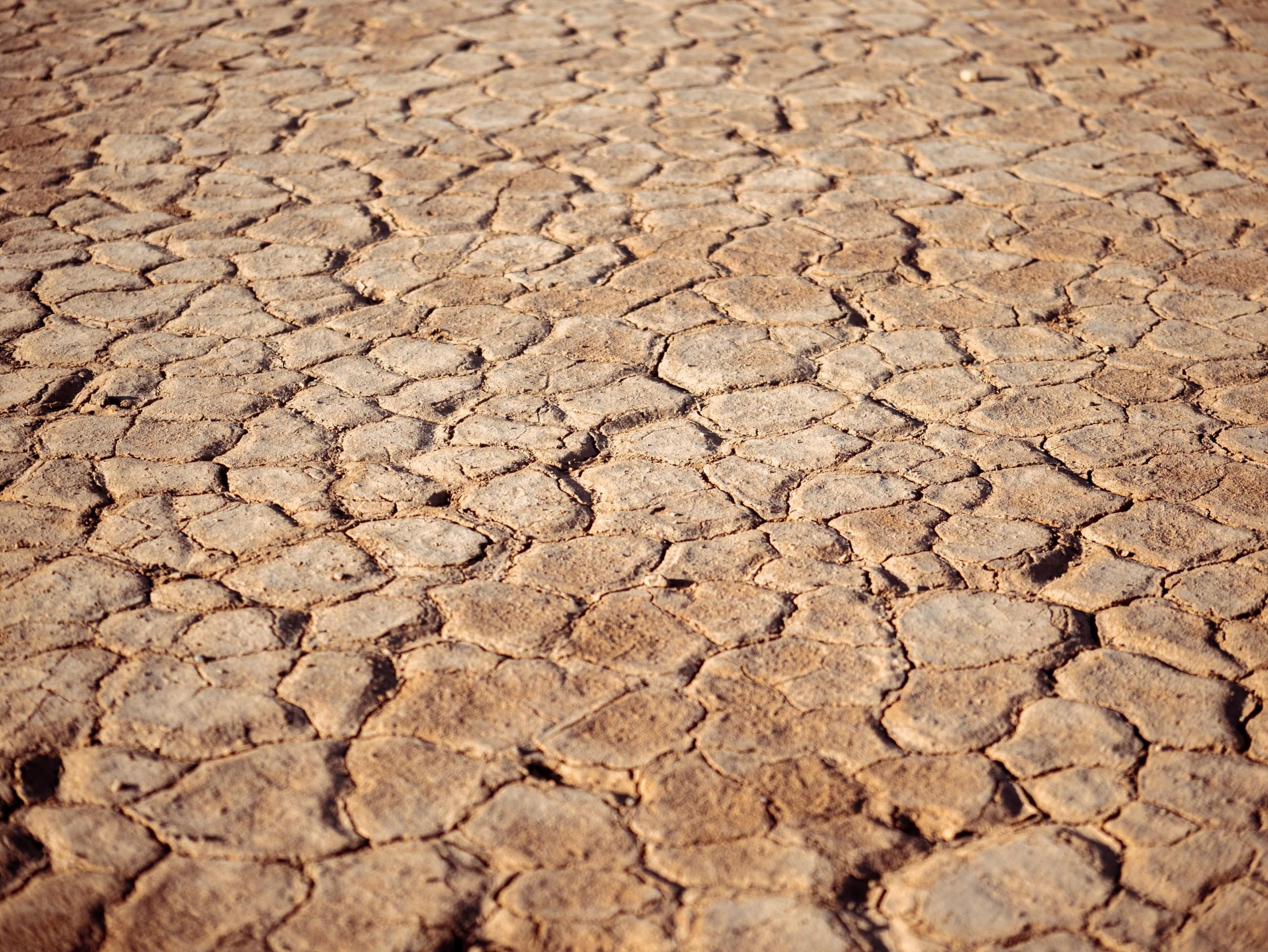 My struggle with drought